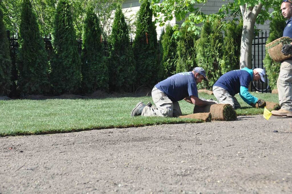 Lawn Renovation - Landscape Solutions
