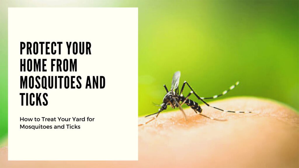 Protect Your Home & Outdoor Yard from Mosquitoes and Ticks